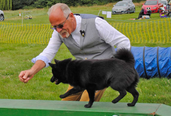 Agility | The Schipperke Club